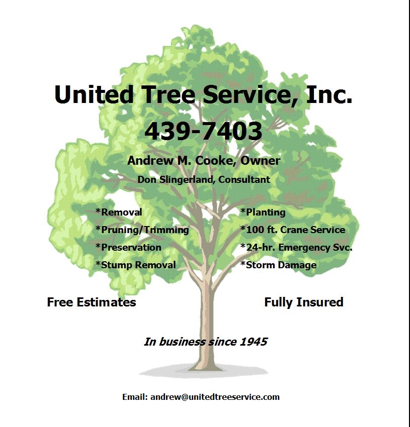 United Tree Service Slingerlands NY Serving Our Area Since 1945 